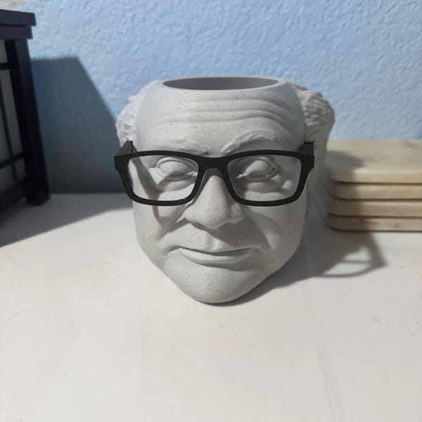 Danny Devito Planter: Frank Reynolds, 3D Printed Desk Organizer - Etsy
