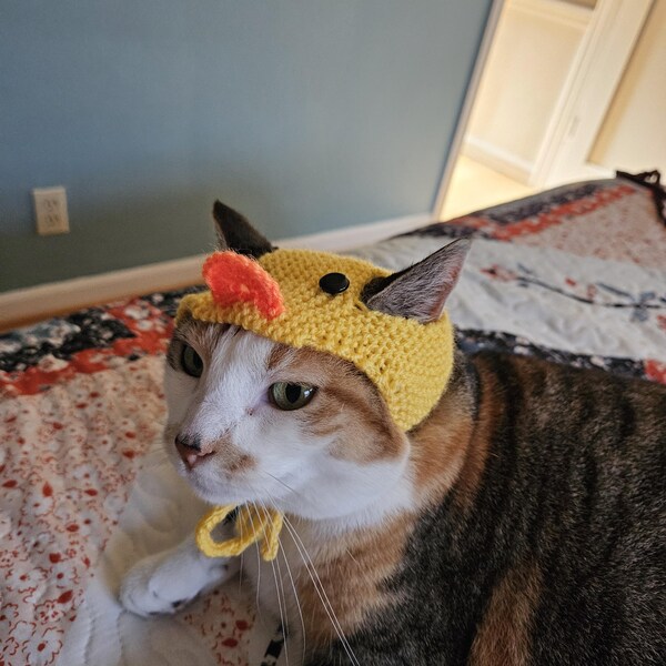Hat for Cat, Dinosaur Hat for Cat, Dragon Hat for Cat - Etsy