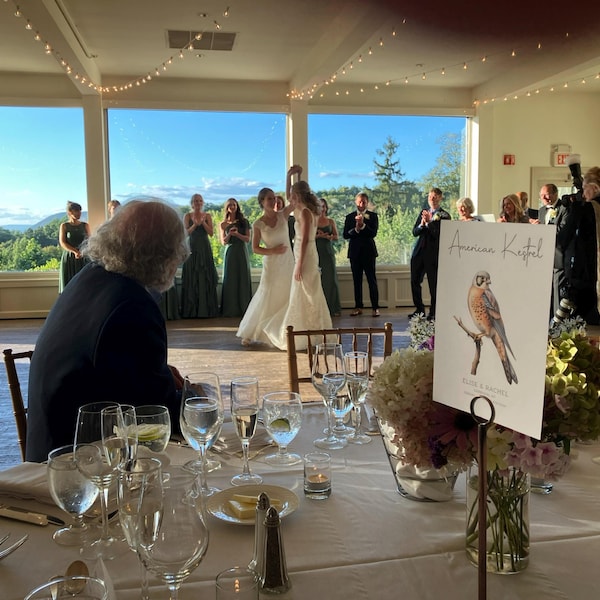 Bird Wedding Seating Plan, Animal Wedding Seating Chart, Bird Spotting ...