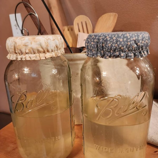 Reversible Washable Single Cotton Fabric Jar Cover: Sustainable Mason ...