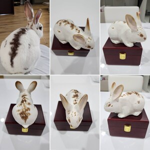 Frenchie Cremation Urn in Stoneware - Etsy