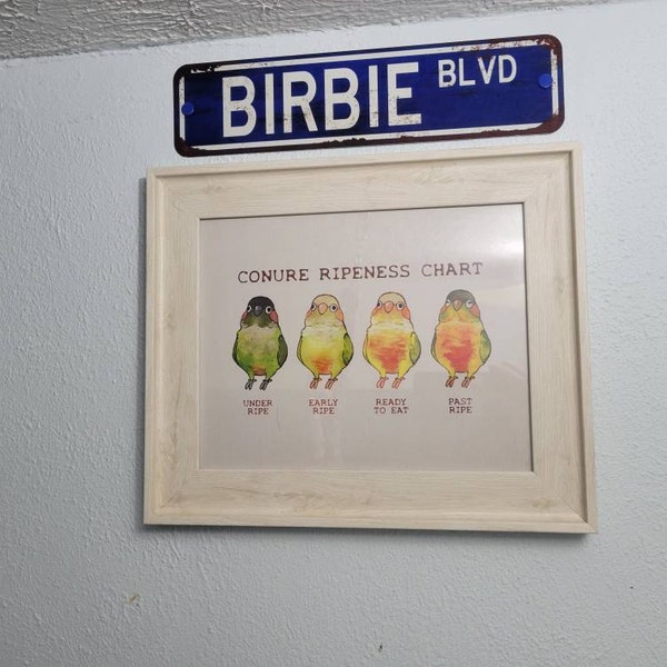 Conure Ripeness Chart Poster - Etsy