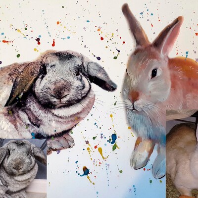 CHINCHILLA Print Chinchilla Posteranimal Print Handmade - Etsy