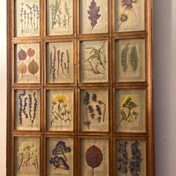 Pressed Flower Art: Vintage Herbarium Farmhouse Wall Decor, 29.3x11.5 ...