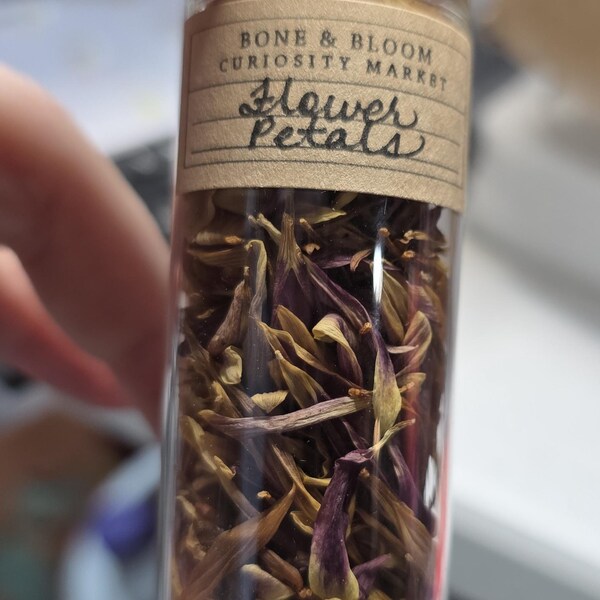 Real Moose Pellet in Glass Vial, Moose Poop, Animal Dung, Weird Gift ...