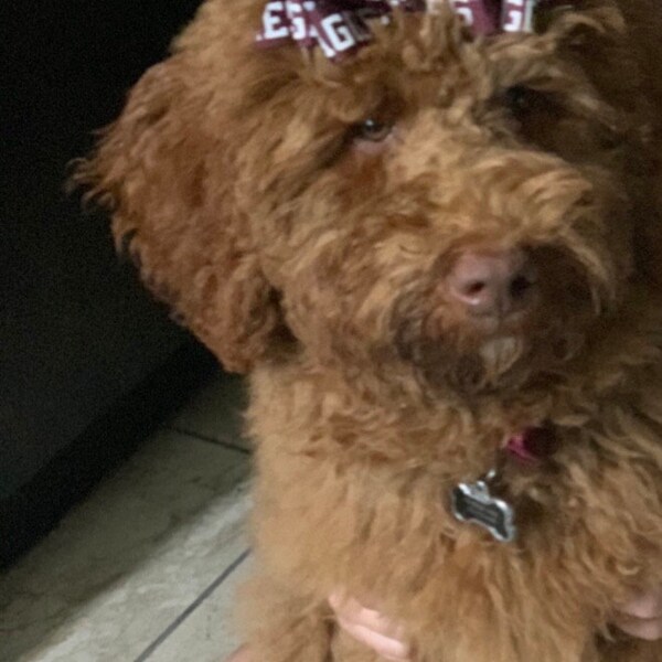 Future Aggie Long Overalls With WHOOP on Back. - Etsy