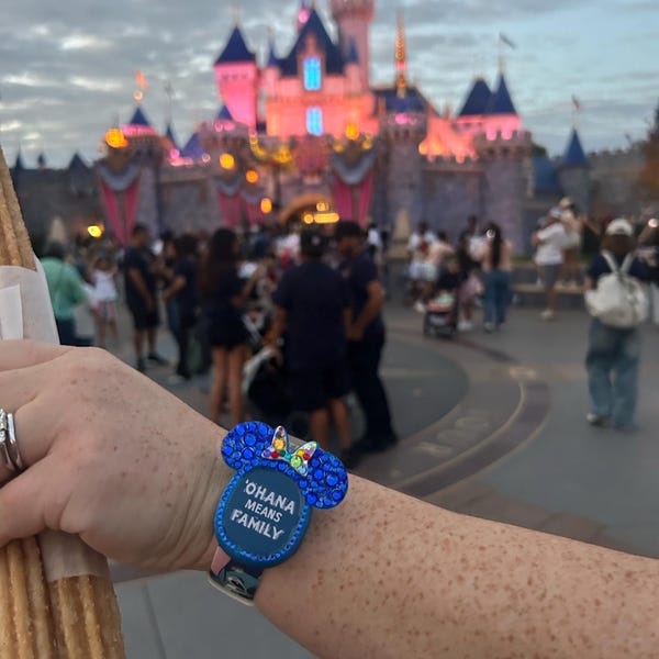 Magicband Plus Puck Charging Adapter - Etsy