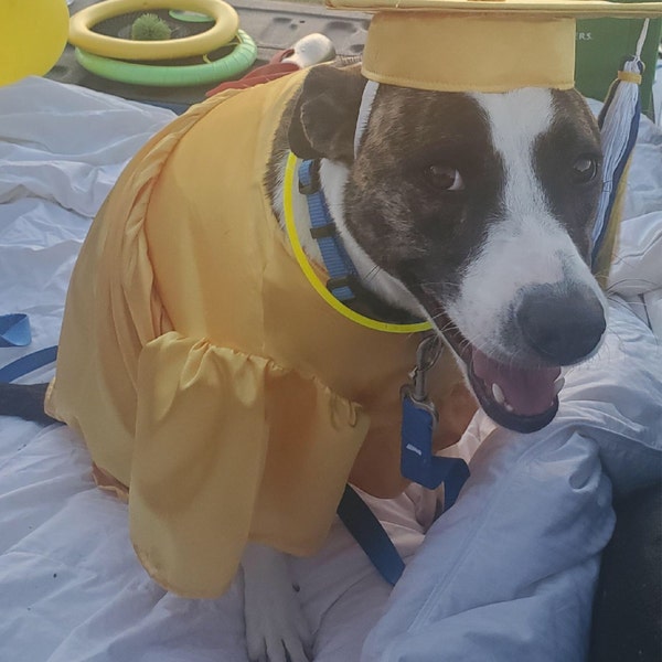 Professor Paws, FD-2108.PupPak-4 Szs: 4XS, 3XS, 2XS, XS, PDF Pet Grad ...