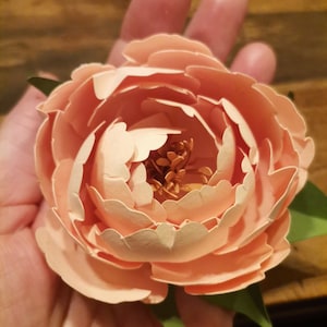 Deluxe Paper Flower Tool Kit With 3 Paper Flower Kits Peony, Rose ...