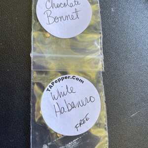 15 Numex Pinata Pepper Seeds isolated-padded Envelope - Etsy