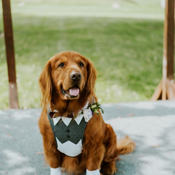 Dog Cuffs~non-slip Feature~dog Tuxedo~dog Cuffs With Satin Buttons to ...