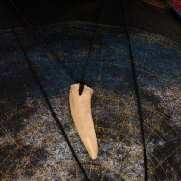 Dinosaur Fossil Tooth Pendant Mosasaurus Tooth Pendant Fossil Tooth ...