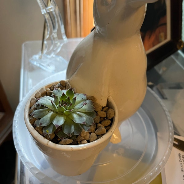 Body Positivity Modern Planter Pot/women or Girl Body Planter ...