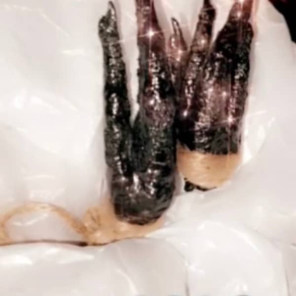 Hoodoo Protection Chicken Foot Talisman Buy One Get One Free. Choose ...