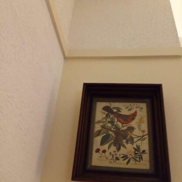 Antique 4 Turned Wood Sock Darning Mending Eggs Darners Tools,green ...