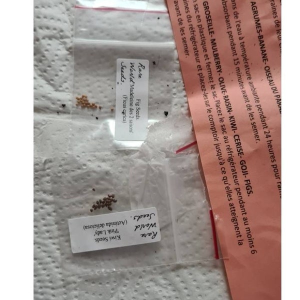 From Japan VERY RARE: 'hararasp' raspberry Tree Raspberries Growing on ...