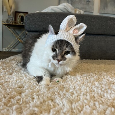 Bunny Cat Hat, Mint Bunny Hat, Rabbit Ears Cat Hat, Easter Cat Hat, Hat ...