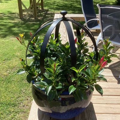 Set of Two Large Elysian Garden® Obelisk Orb: Containing 4 Hoops per ...