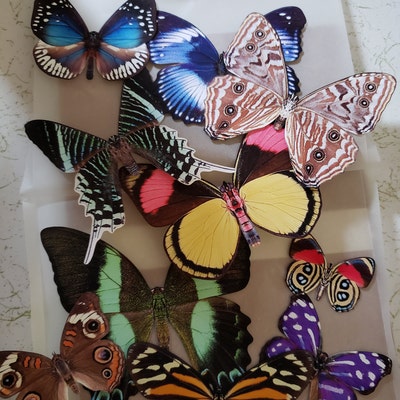 Realistic Paper Butterflies Ready to Use Cut Outs 10 Pieces - Etsy