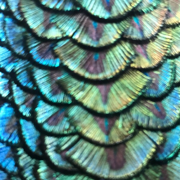 3 Inch Diameter Japanese Temari Ball (embroidered Ornamental Ball ...