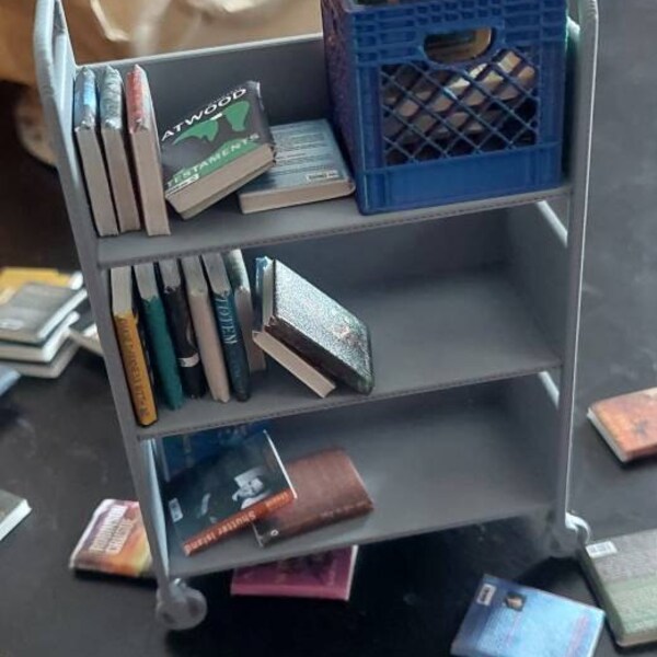 1/6 Scale 3 Shelf Mini Library Cart/ Mini Brands Books / Mini Books ...