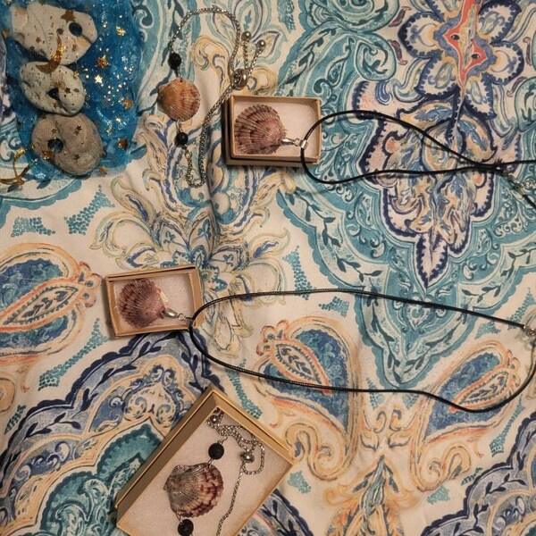 Coquina Shell Butterfly Necklace, Shell Necklace, Butterfly Necklace ...