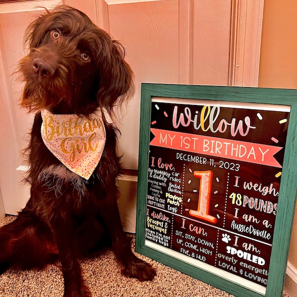 Dog First Birthday Sign, Puppy 1st Birthday Poster, Puppy First ...