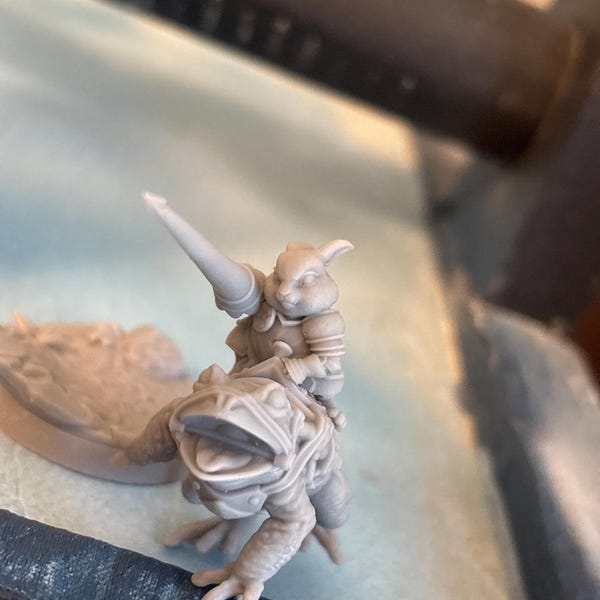 Bunny Fighter Toad Mount Rabbit Frog Rider | the Dragon Trappers Lodge ...