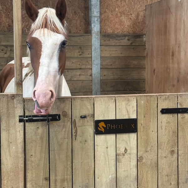 Horse Stable Name Sign, Classy New Laser Cut Designs Black With Gold ...