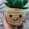 Animal Crackers Crochet Pattern Bundle EBOOK PDF Knotmonsters Amigurumi ...