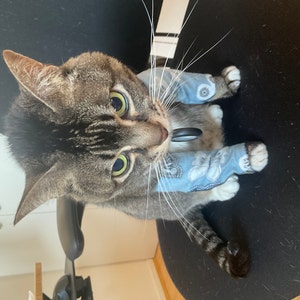 Front Leg Protection Sleeves for Cats - Etsy