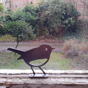 Rusty Robin Rusty Metal Robin Rusty Metal Bird Garden Bird garden ...