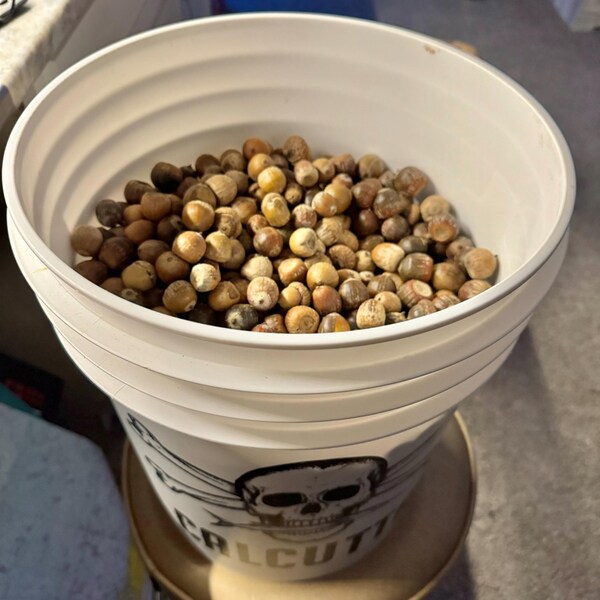 Mid Century Modern Metallic Circles Glass Bowl, MCM Design, Candy, Nuts ...