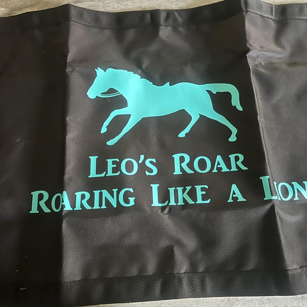 Personalized Horse Stall Guard, Stall Sign, Horse Name Stall Guard ...
