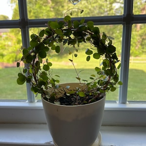 18 Inch Arch Mobile Suncatcher Trellis, Arch Trellis, Trellis for ...