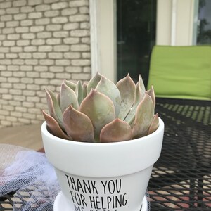 Aloe Govna Funny Plant Pot Plant Pun Plant Holder Funny - Etsy