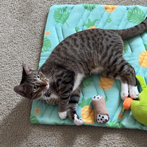 Catnip Cannoli Cat Toy - Etsy