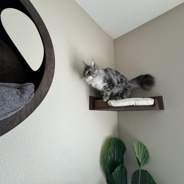 Corner Cat Bed Wall Mounted, Cat Shelf With Cushion, Wood Indoor Cat ...