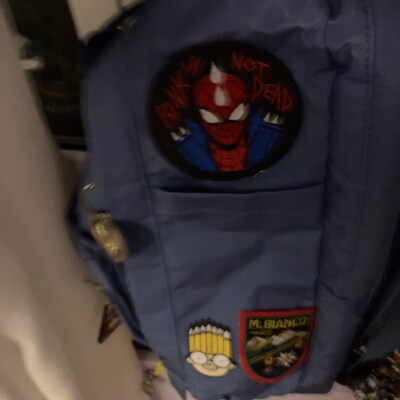 Spider-punk Punk is Not Dead Iron-on Embroidered Patch - Etsy