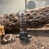 Wicking Water Feeder Trough for Small Pets Insects, Spiders, Beetles ...