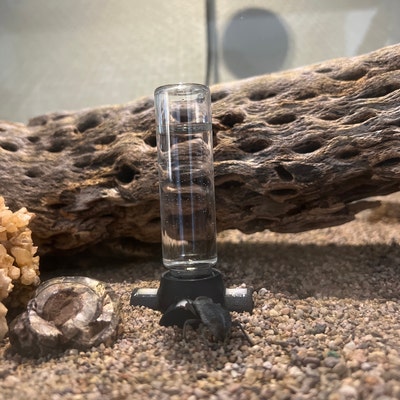 Wicking Water Feeder Trough for Small Pets Insects, Spiders, Beetles ...