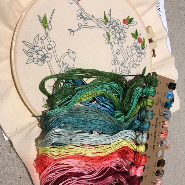 Vintage Embroidery Kit for Beginner - Hoop Art Including Everything to ...