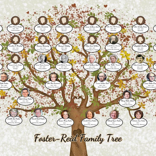 Digital Family Tree Template ~ 6 Generations ~ Editable in Canva ...