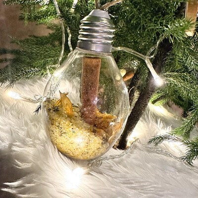 Mini Pendulum Jar - Etsy