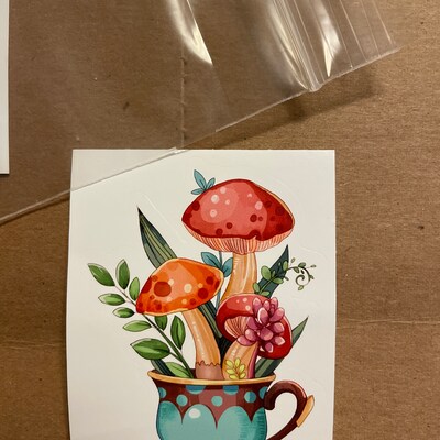 Succulent Bubble-free Stickers, Cute Succulent Sticker in Three Sizes ...