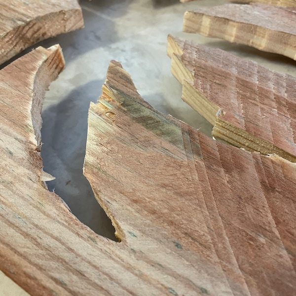 Exterior Palm Tree Shutter Made of Pressure Treated Lumber, Perfect for ...