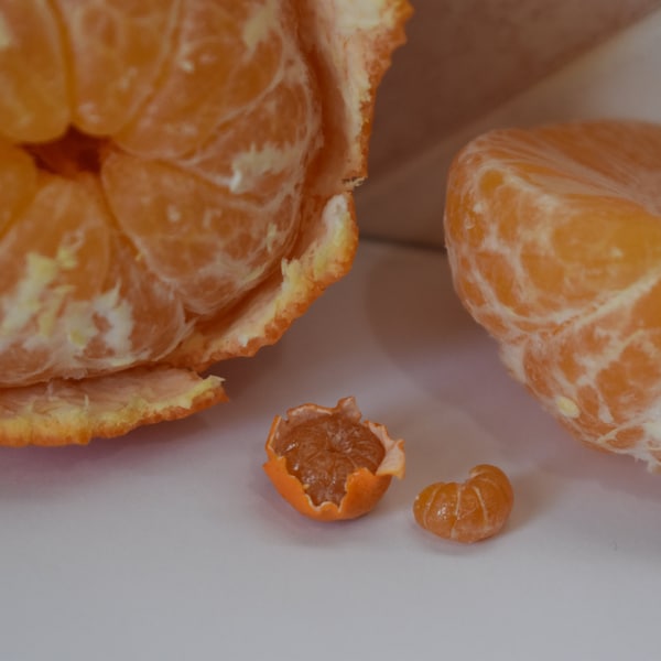 Miniature Tangerine , Dollhouse Food, Food for Dollhouse, Mini Food ...