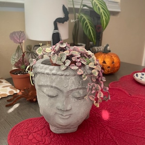 Buddha Planter, Buddha Pot, Buddha Head Planter, Head Vase, Face ...
