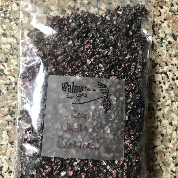 Whole Cochineal Bug Natural Plant Dye for Yarn Protein Dyes Earth ...