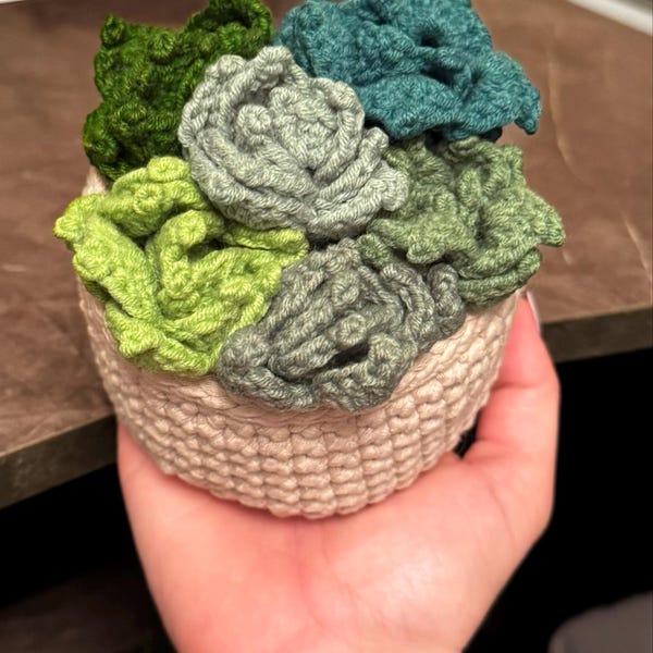 String of Pearls Crochet Pattern Amigurumi Potted Plant Pattern Crochet ...